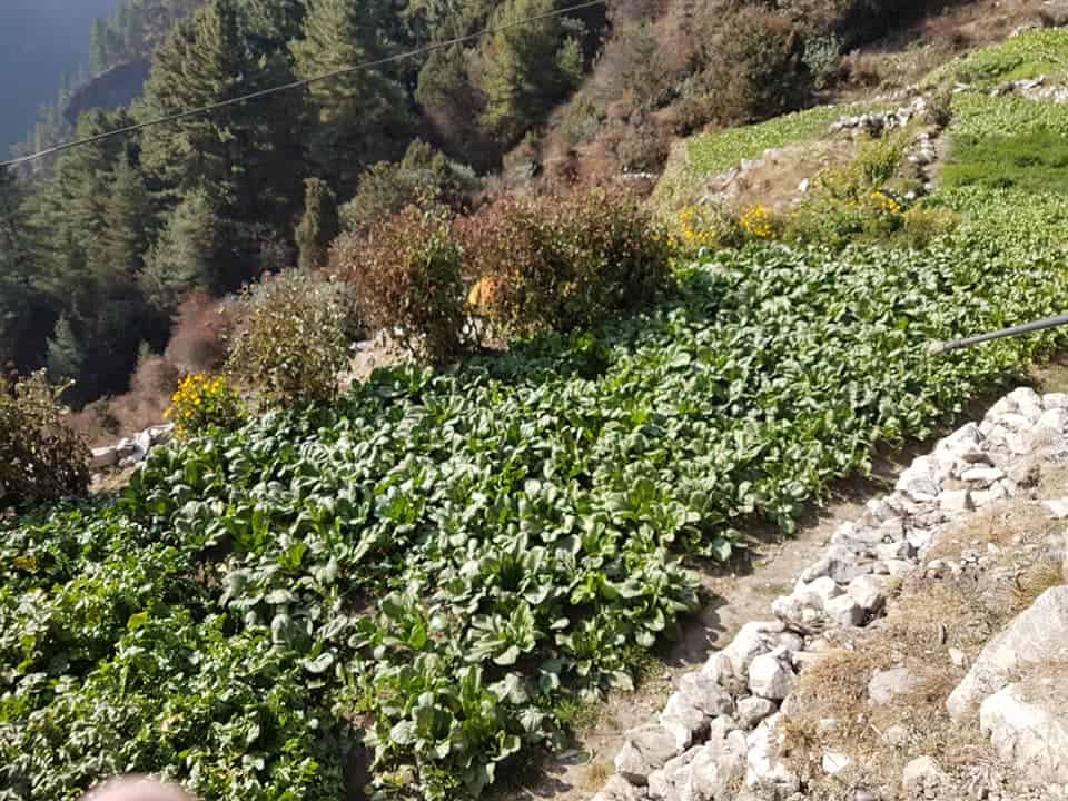 Day 2: 3405m! - L-Intelligent by Linus Lin